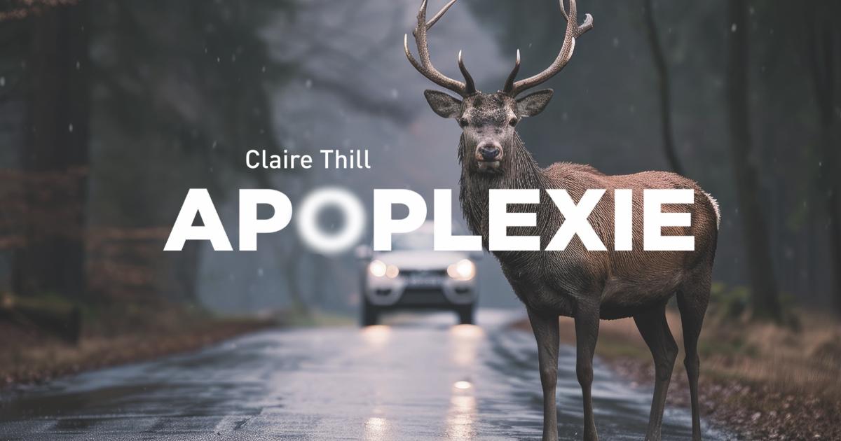 Apoplexie | Fondation EME